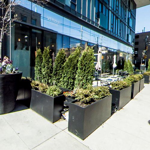 Versus Coffee in Toronto, Canada (Google Maps)