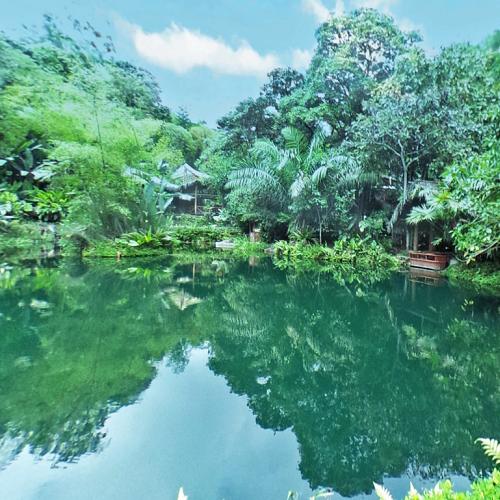 Mindo Lago in Mindo, Ecuador (Google Maps)
