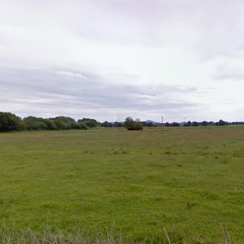 Ham Wall in Glastonbury, United Kingdom (Google Maps)