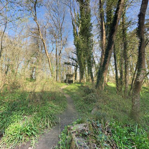 Hack Fall Wood in Grewelthorpe, United Kingdom (Google Maps)