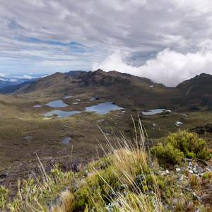 View from Mount Chirripó (highest point in Costa Rica) in San Isidro ...