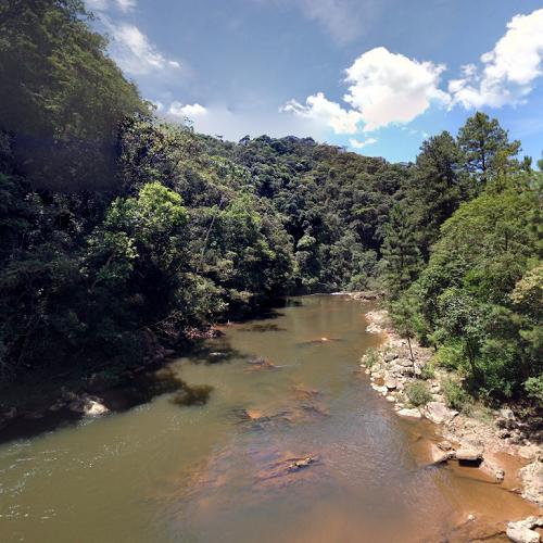 Serro do Mar State Park in Praia Grande, Brazil - Virtual Globetrotting