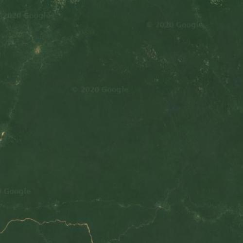 Okapi Wildlife Reserve in Isiro, Democratic Republic of the Congo ...