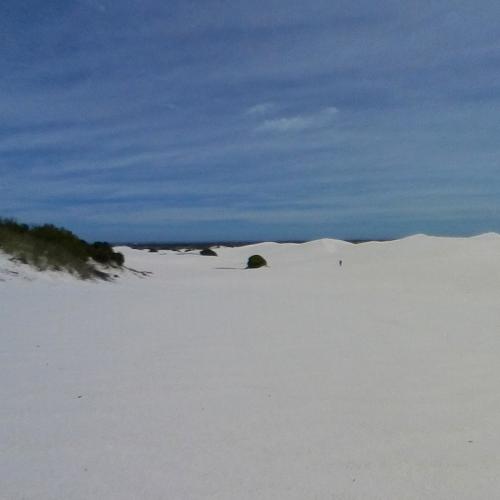 Atlantis Dunes in Atlantis, South Africa (Google Maps)