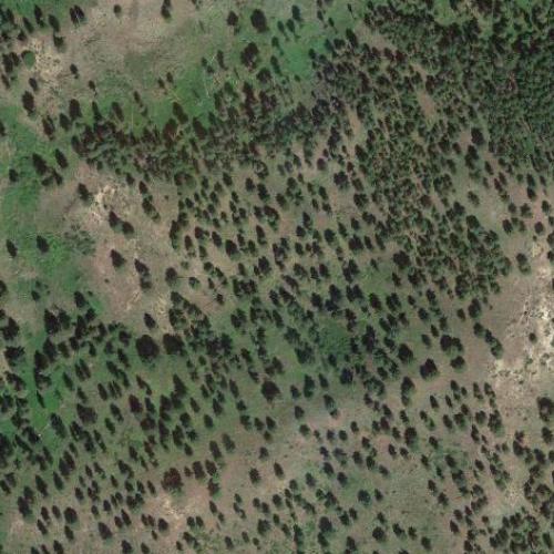 Geographical Center of Washington in Wenatchee, WA (Google Maps)