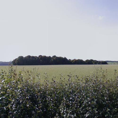 Jones Hill Wood in Wendover, United Kingdom (Google Maps)