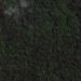 Pan Am Flight 812 crash site in Buleleng, Indonesia (Google Maps)