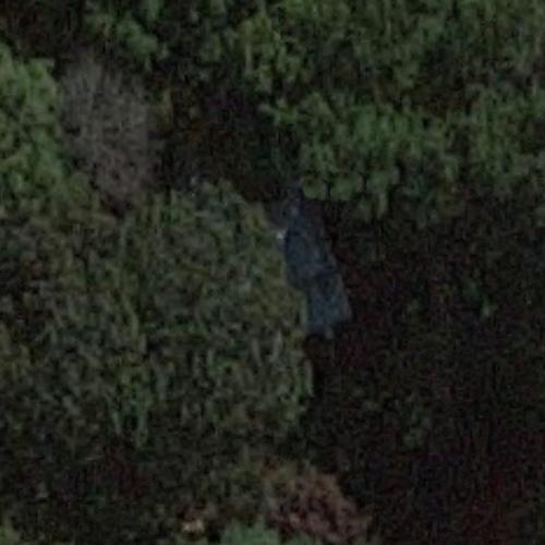 'Fiddler's Point' by Wendell Lovett in Eagle Harbor, MD (Google Maps)