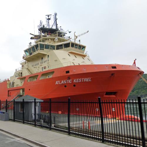 Atlantic Kestrel in St John's, Canada - Virtual Globetrotting