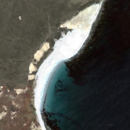 Vampire Beach in Bleaker Island, Falkland Islands (Malvinas) (Google Maps)
