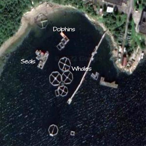 Russian Military Mammal Training Facility in Polyarnyy, Russian ...