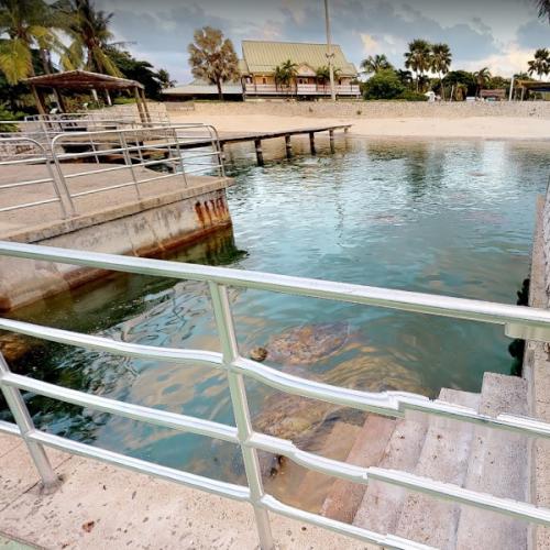 Cayman Turtle Centre in West Bay, Cayman Islands (Google Maps)
