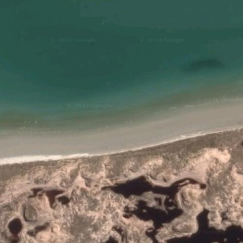 Pebble Island Beach Airstrip in Pebble, Falkland Islands (Malvinas ...