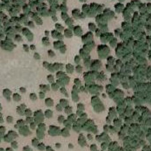 A1 Mountain (W7A/CS-013) in Fort Valley, AZ (Google Maps)
