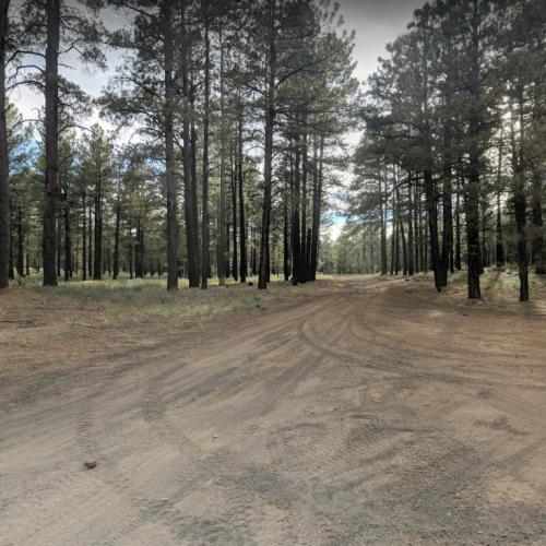Wing Mountain (W7A/CS-008) in Fort Valley, AZ (Google Maps)