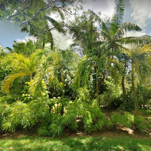Queen Elizabeth II Botanic Park in Breakers, Cayman Islands (Google Maps)