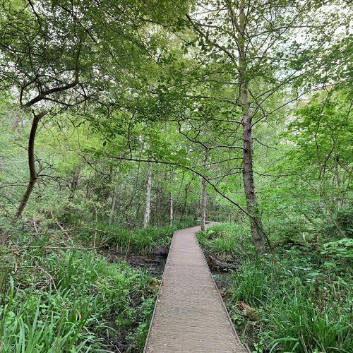 Moseley Bog in Moseley, United Kingdom (Google Maps)