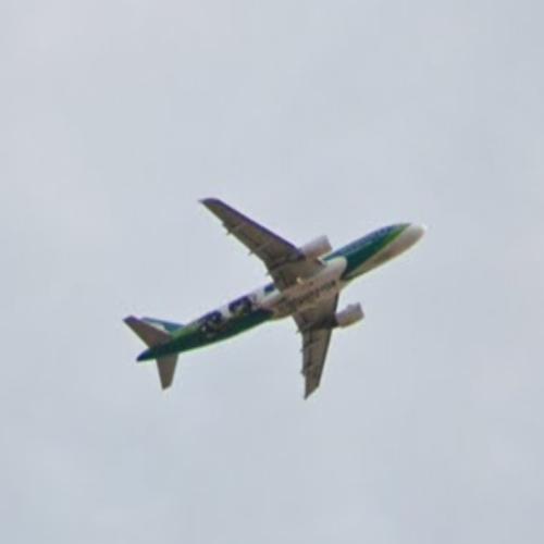 Aer Lingus Airbus A320 "Irish Rugby Team" [EI-DEI] in Hounslow, United ...