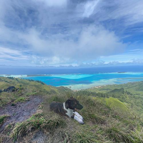 Mont Hiro Sommet in Raivavae, French Polynesia - Virtual Globetrotting