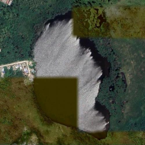 Susupe Lake in Susupe, Northern Mariana Islands (Google Maps)