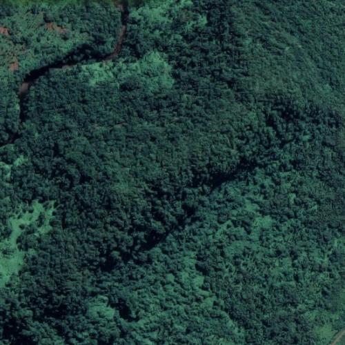 Mount To’ona in Fagalii, Samoa (Google Maps)