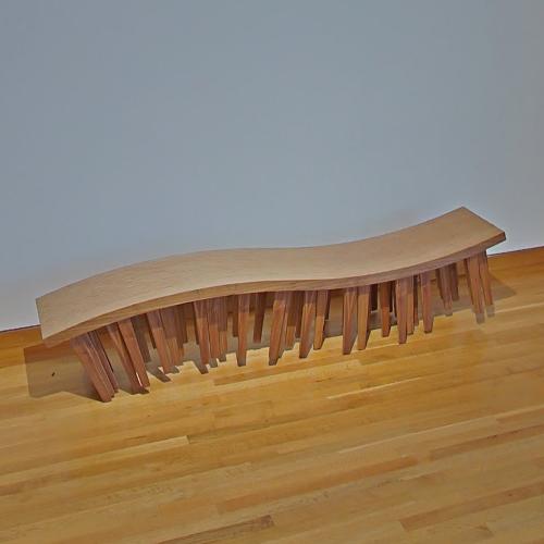 'Centipede III Bench' by Héctor Esrawe in Atlanta, GA (Google Maps)