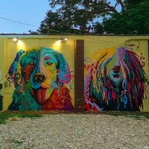 Pet shop mural in Oviedo, FL - Virtual Globetrotting