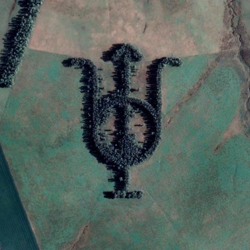 Trident shaped forest in Florida, Uruguay (Google Maps)