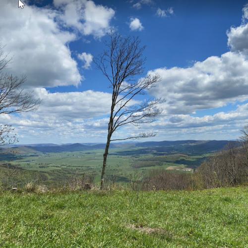 Chestnut Ridge (W4V/WV-009) in Ceres, VA (Google Maps)