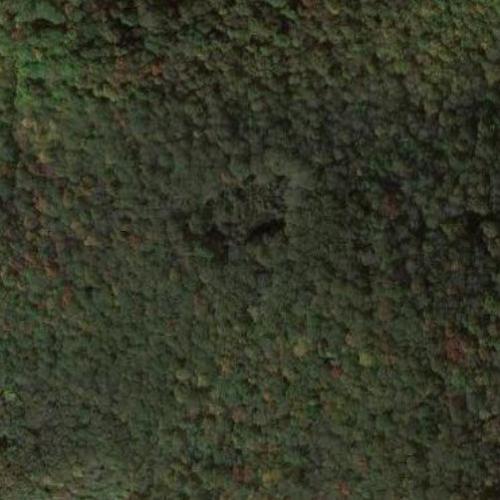 Wilson Knob (W4T/SU-021) in Chuckey, TN (Google Maps)