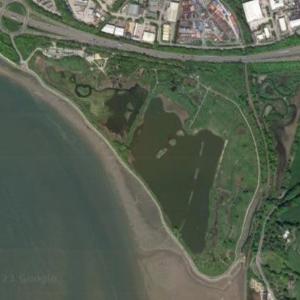 RSPB Conwy in Llandudno Junction, United Kingdom - Virtual Globetrotting