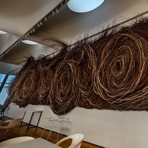 'Out of the Box' by Patrick Dougherty in Raleigh, NC - Virtual ...