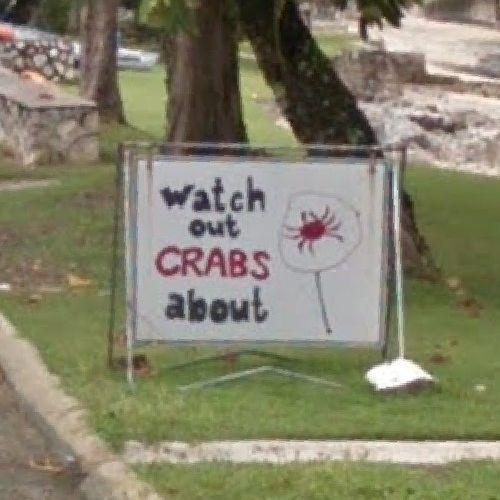 Slow down sign in Flying Fish Cove, Christmas Island (Google Maps) (#2)