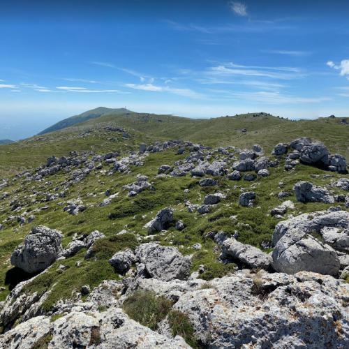 Tsanakis (SV/MC-043) in Naousa, Greece (Google Maps)