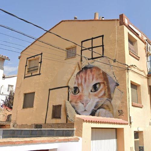 Cat breaking through in Torrellas, Spain (Google Maps)