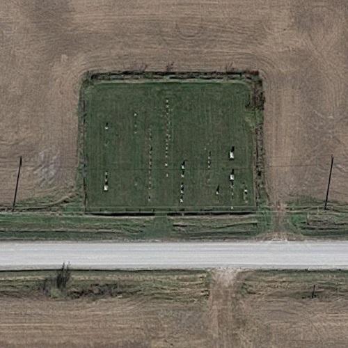 Cook Cemetery in Primrose, IA (Google Maps)
