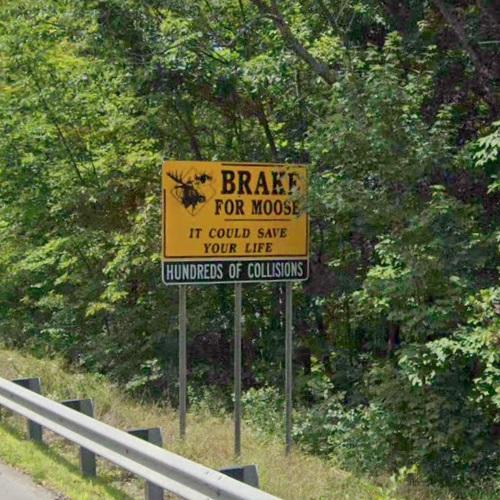 Brake for Moose: It Could Save Your Life in Shelburne, NH (Google Maps)
