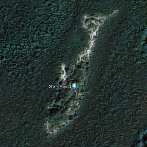 Shark Mound - Bimini in Alice Town, Bahamas (Google Maps)