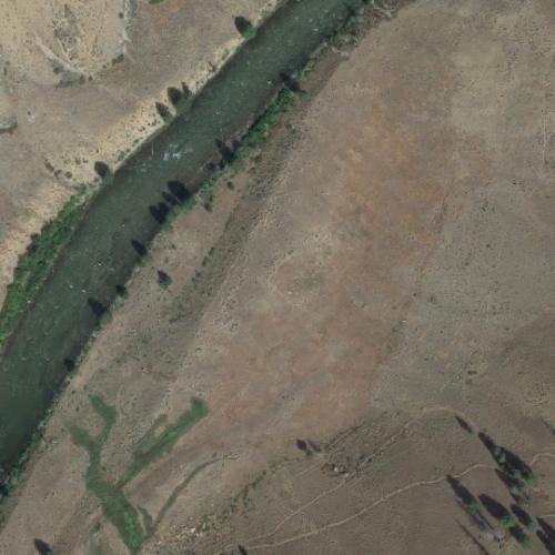 Cougar Ranch Airport in Yellowjacket, ID (Google Maps)