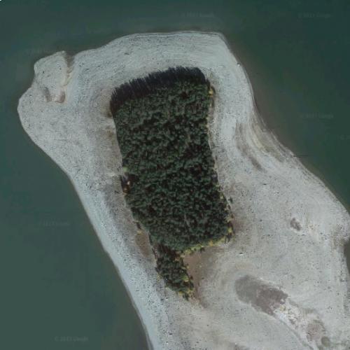 Grassy Island in Moran Junction, WY (Google Maps)