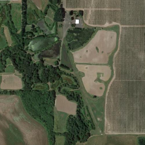 Muddy Creek Airport in Greenberry, OR (Google Maps)