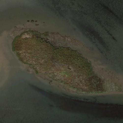 Grassy Island in Astoria, OR (Google Maps) (#2)