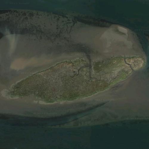 Snag Island in Astoria, OR (Google Maps)