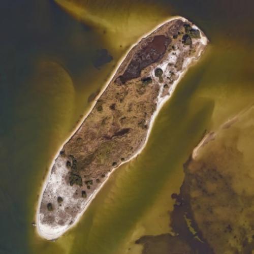 Robinson Island in Orange Beach, AL (Google Maps) (#2)