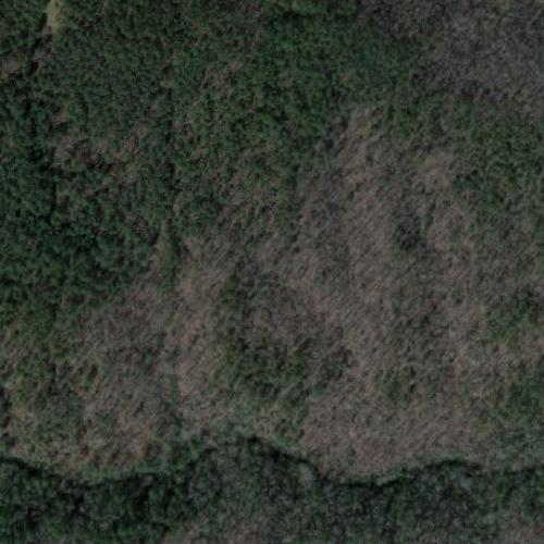 Big Rock in Verbena, AL (Google Maps)