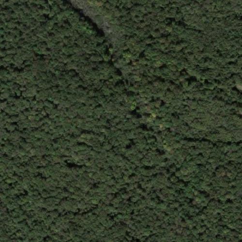 Concordia Island in Gunnison, MS (Google Maps)