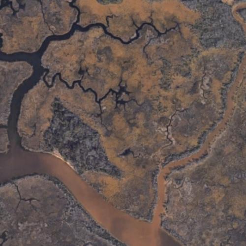 Pine Island in Gautier, MS (Google Maps) (#3)