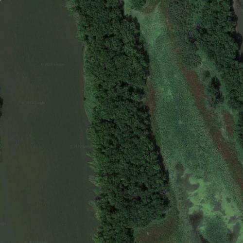 Big Cook Island in Sabula, IA (Google Maps)