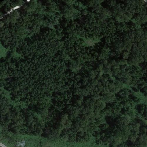 Rush Island in Crystal City, MO (Google Maps) (#2)