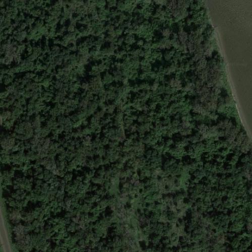 Cottonwood Island in Taylor, MO (Google Maps) (#3)